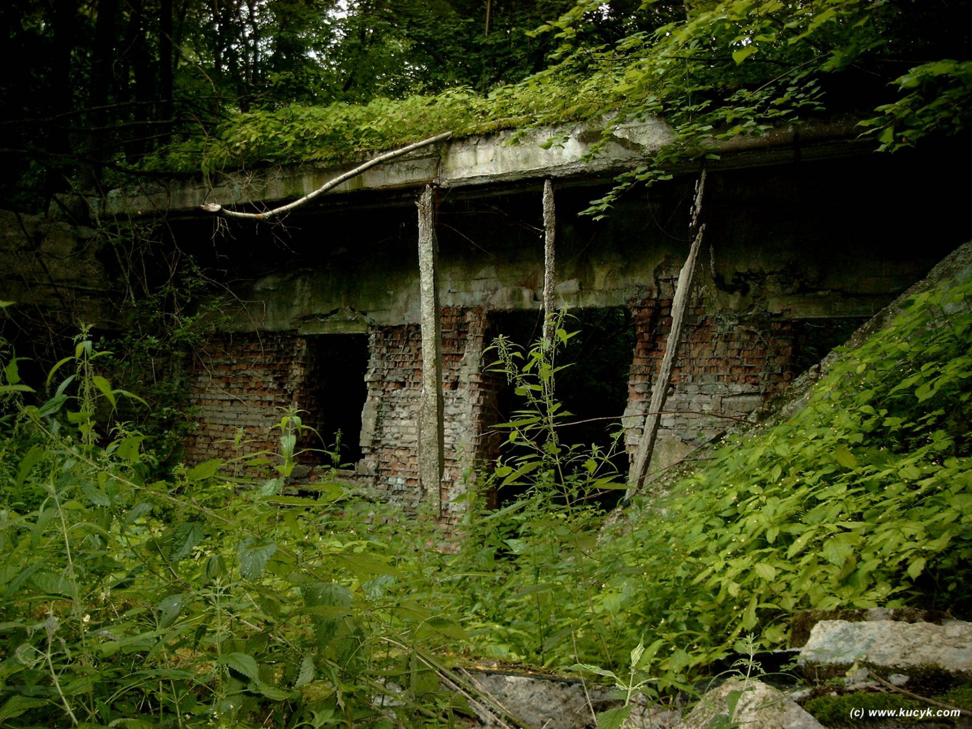 Wilczy Szaniec (Gierłoż, Mamerki) - Hotel Masovia